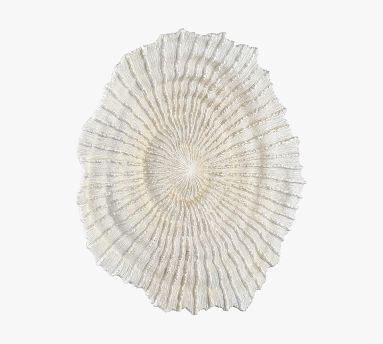 Handmade Ceramic Shell Wall Art - Set of 3 | Pottery Barn