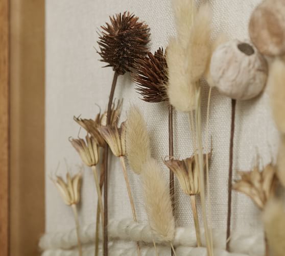 Dried Woven Botanical Shadow Box | Pottery Barn
