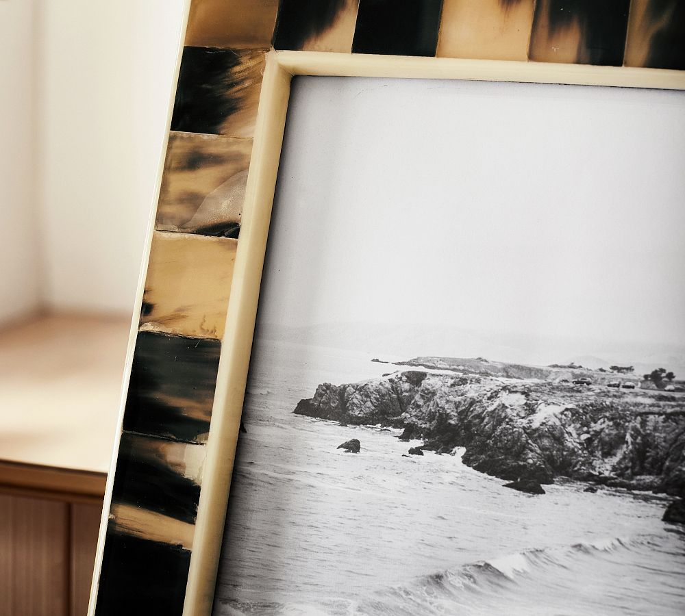 Horn and Brass Assorted Frames | Pottery Barn
