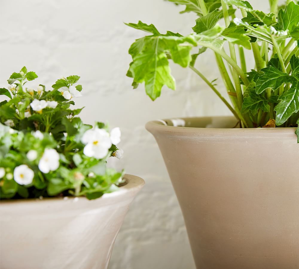 Provence Scalloped Edge Outdoor Planters - Clay | Pottery Barn