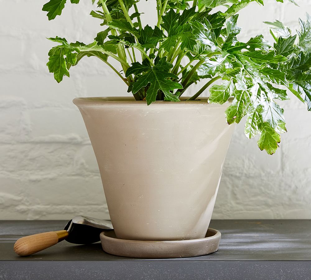 Provence Scalloped Edge Outdoor Planters - Clay | Pottery Barn