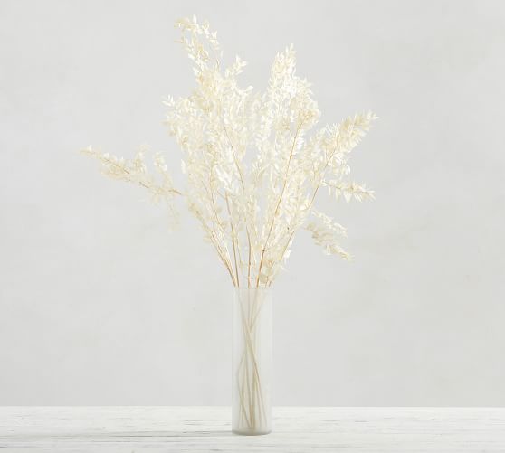 Dried Ruscus Bundle | Pottery Barn