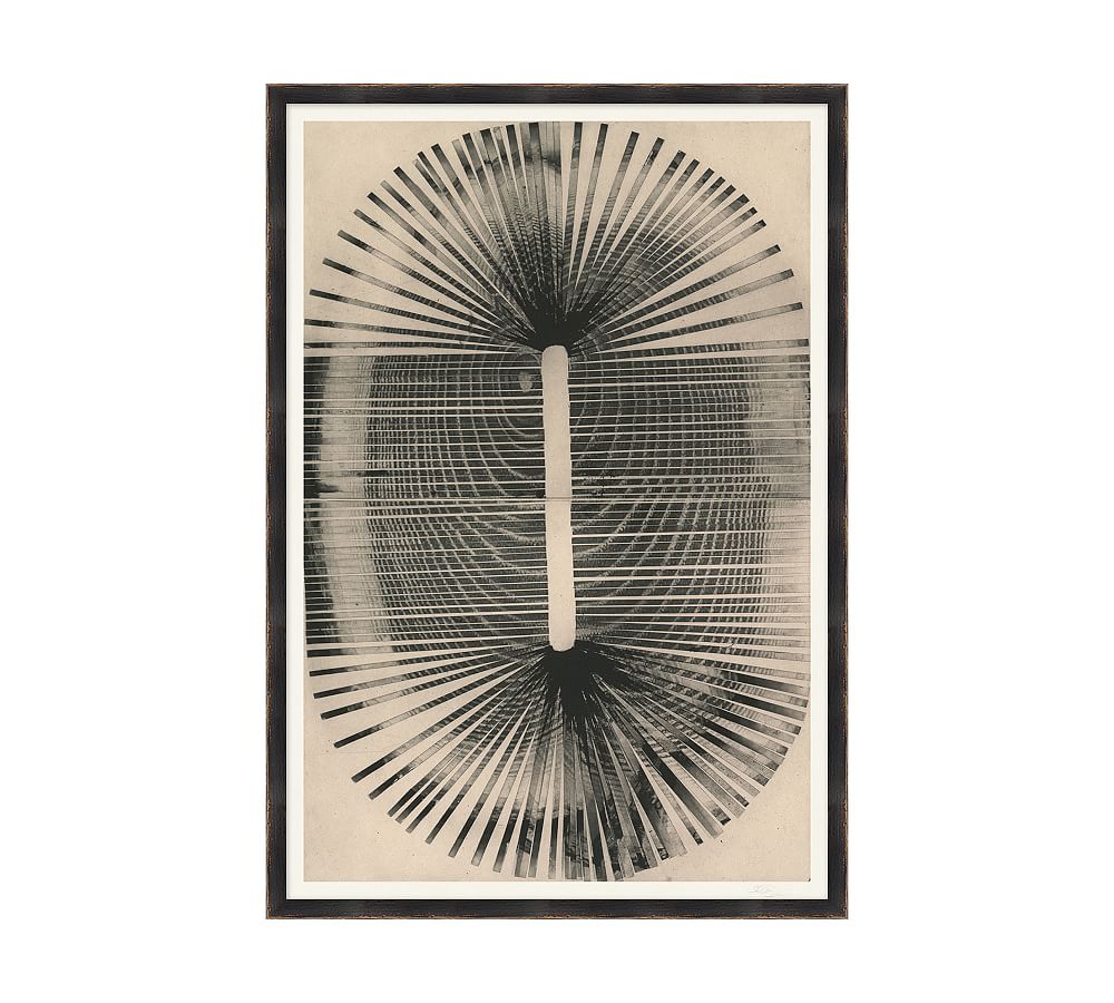Fossil Framed Wall Art Print | Pottery Barn