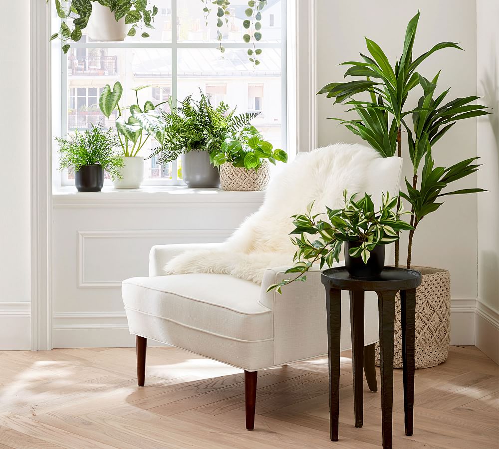 Mongolian Faux Fur Hide | Pottery Barn