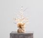 Lit Snowy Crystal Trees | Pottery Barn