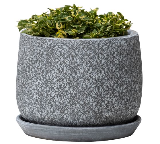 Alena Glazed Pottery Indoor Planters | Pottery Barn