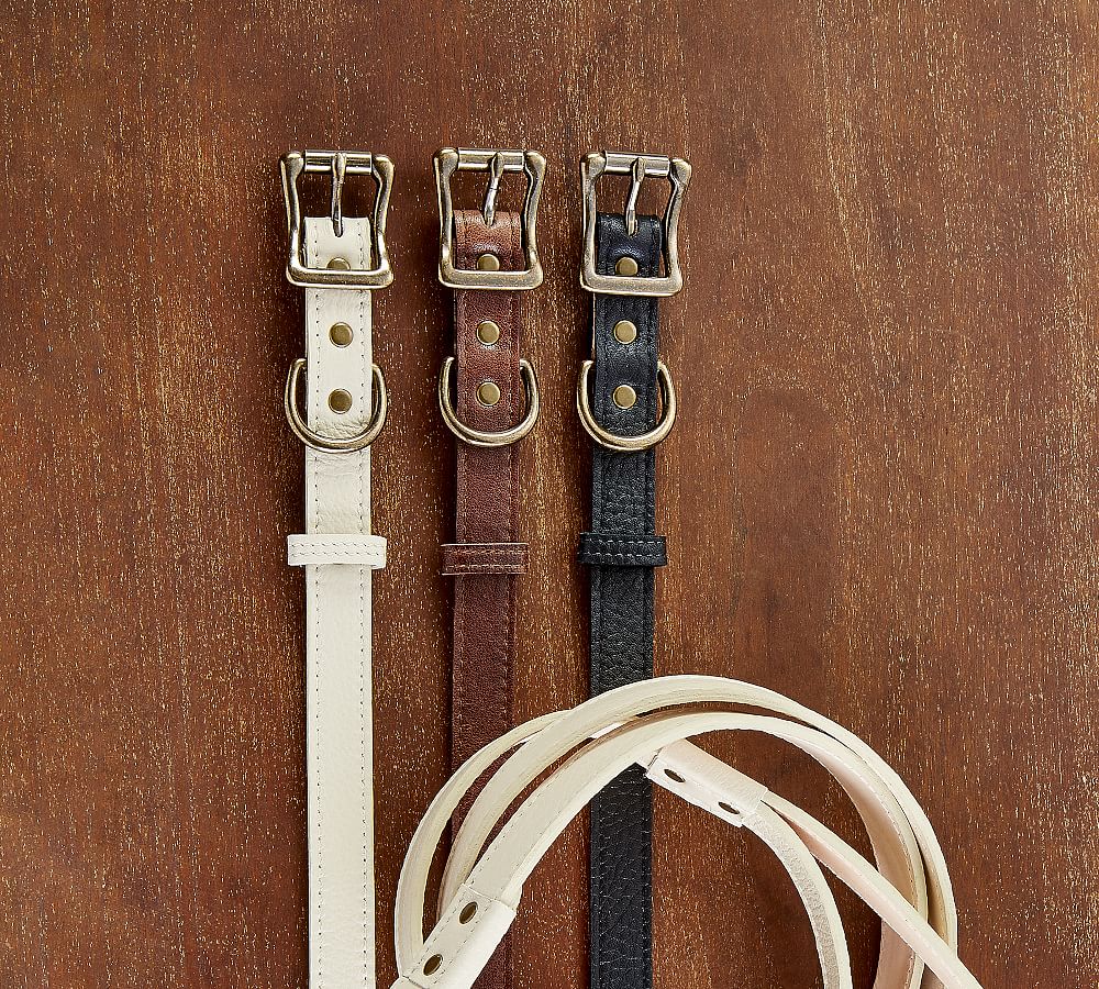 Leather Pet Leash | Pottery Barn
