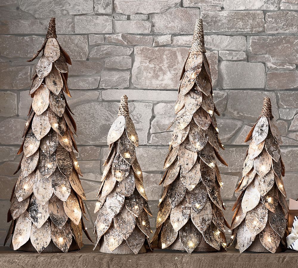 Lit Birch Trees | Pottery Barn
