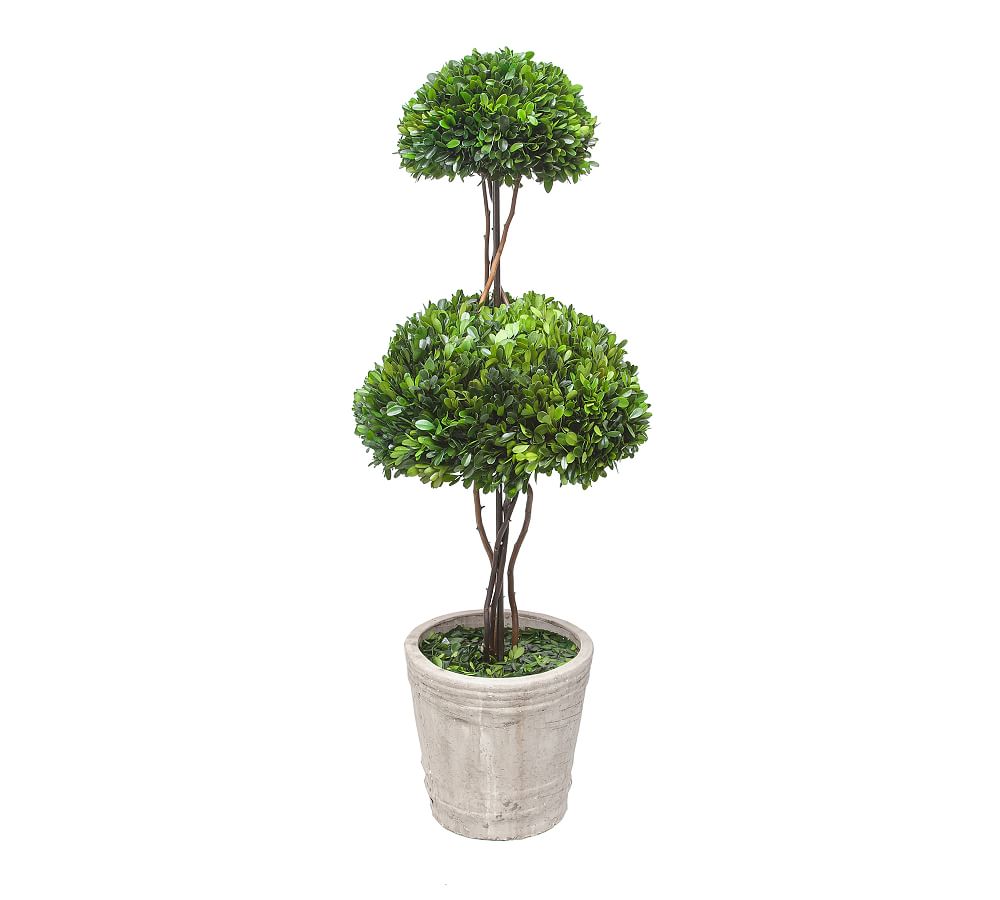 Live Preserved Boxwood Double Mushroom Topiary Tree | Pottery Barn