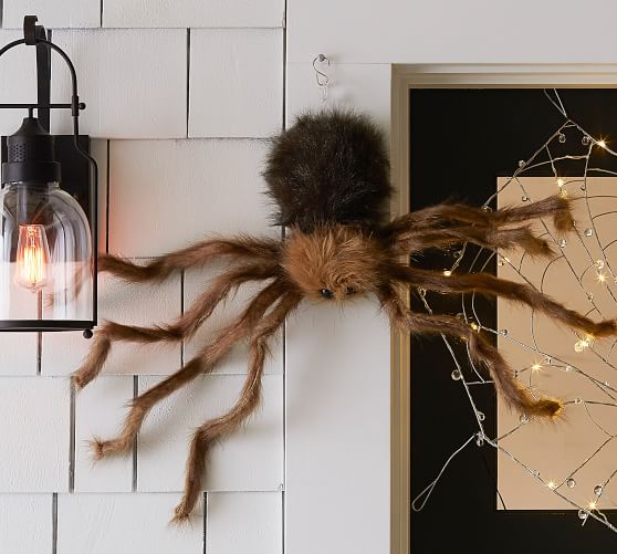 Moving Spider | Pottery Barn