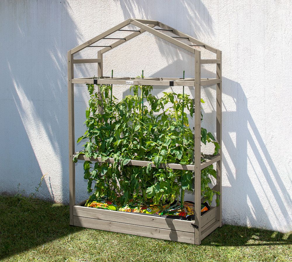 Vegetable Greenhouse & Cover | Pottery Barn