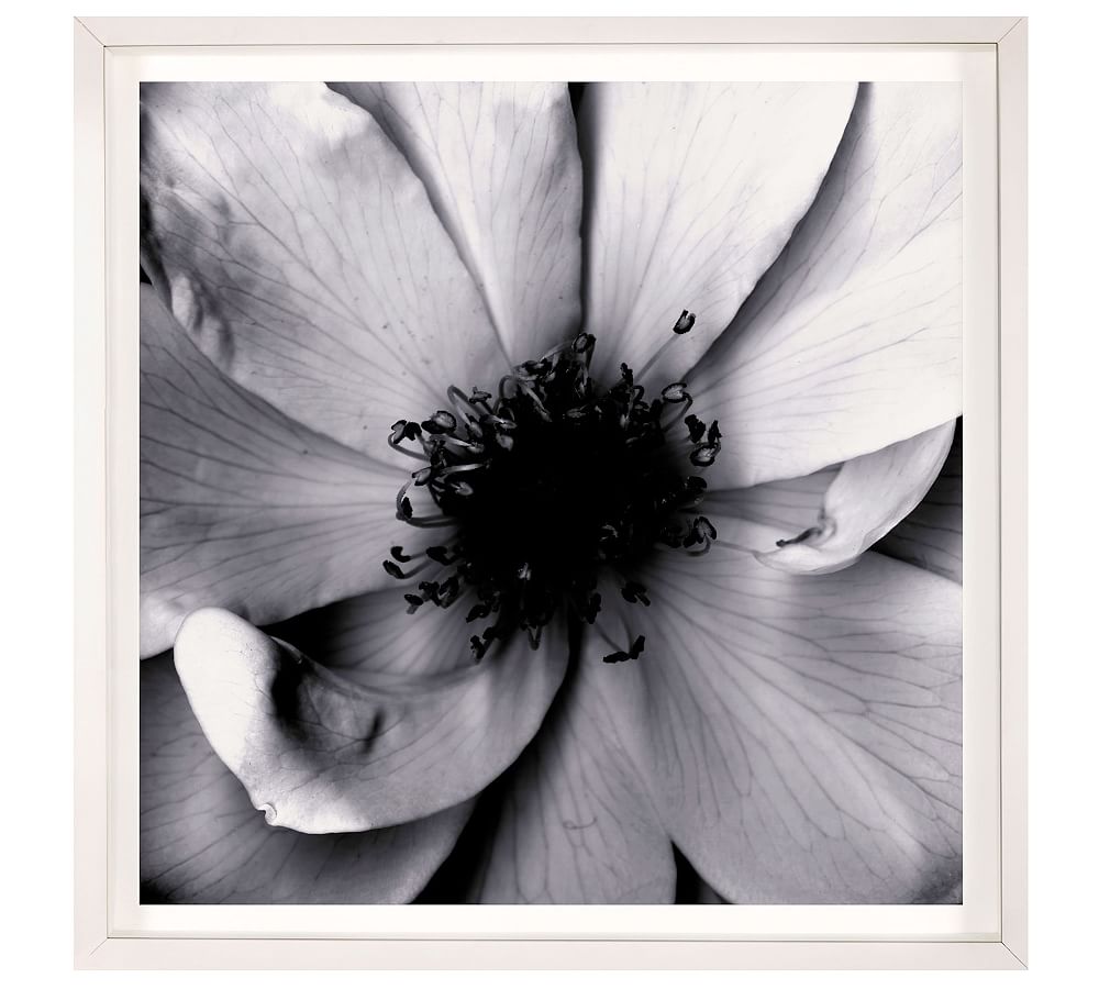 Flowers Framed Prints | Pottery Barn