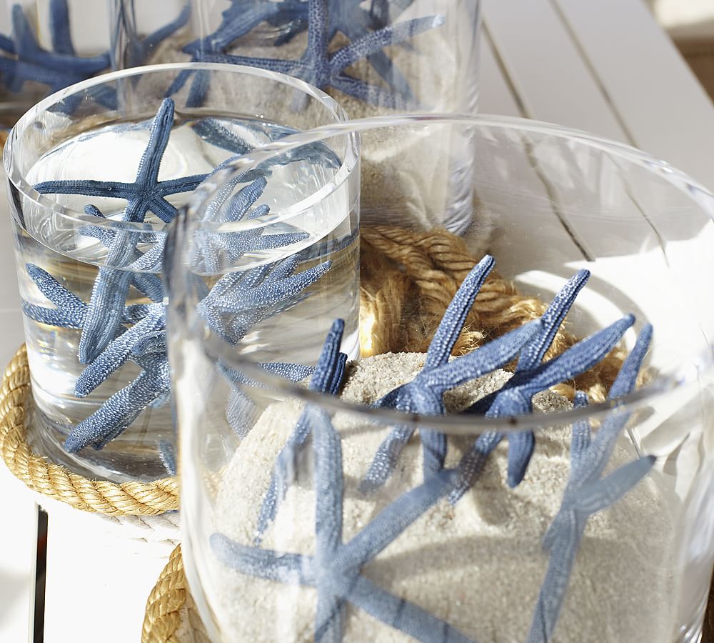 Faux Blue Starfish Vase Filler | Pottery Barn