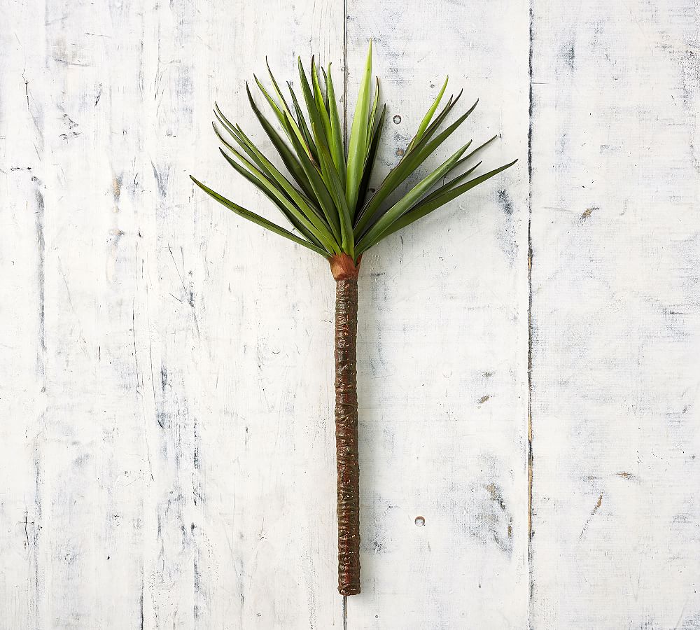 Faux Yucca Branch | Pottery Barn