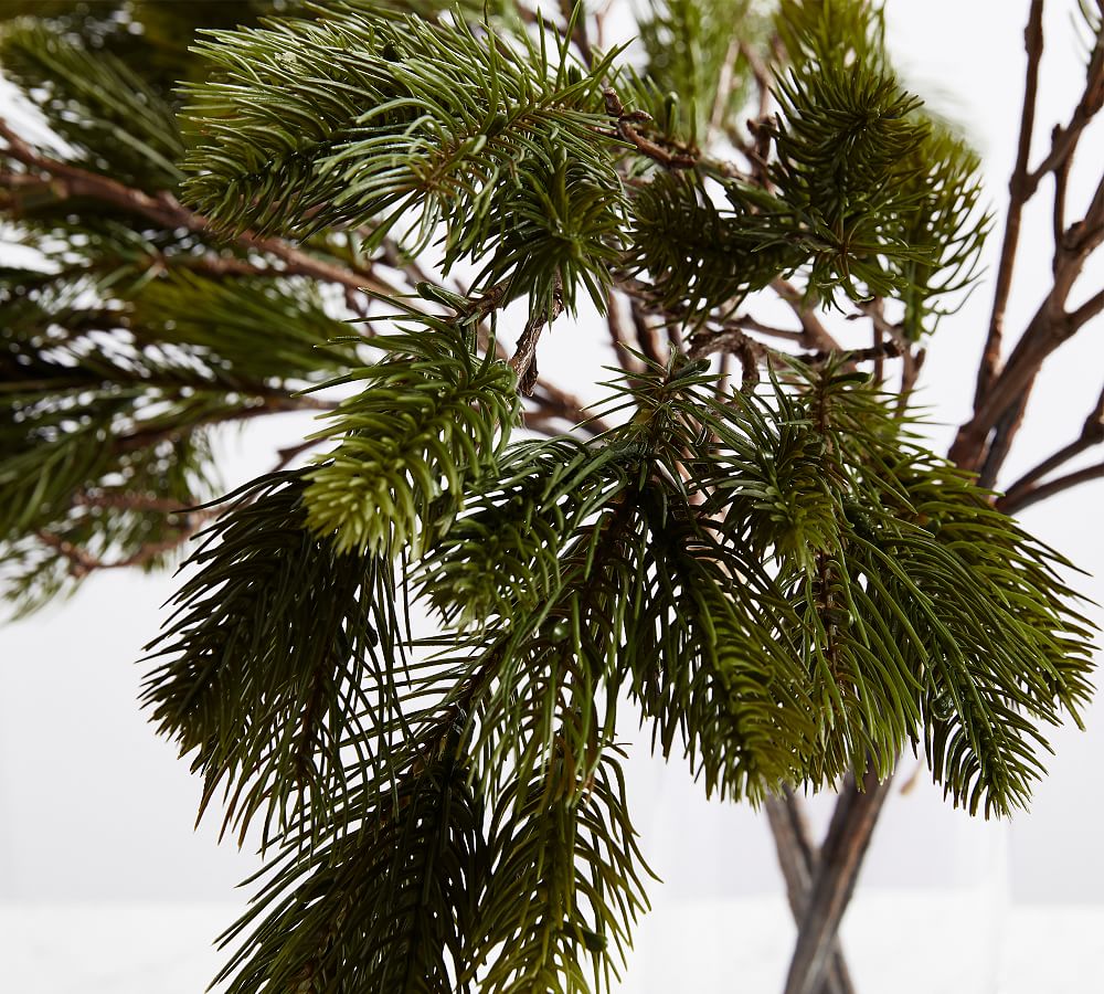 Faux Pine Bundle | Pottery Barn