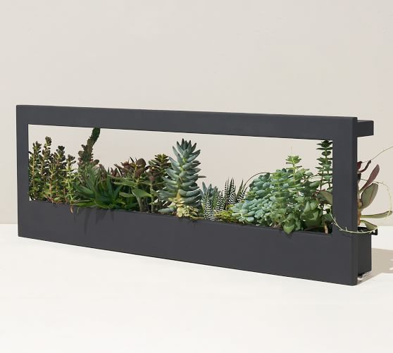 Growframe, 32" X 11.5" | Pottery Barn