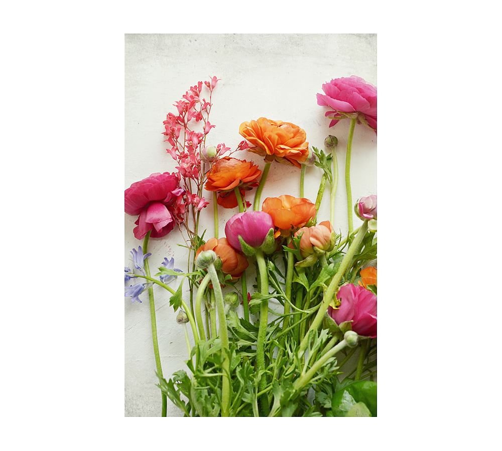 Spring Joy Paper by Lupen Grainne | Pottery Barn