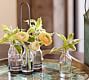 Multi Bud Vase | Pottery Barn