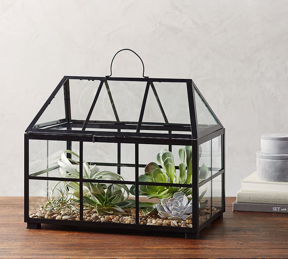 Metal and Glass Terrarium | Pottery Barn