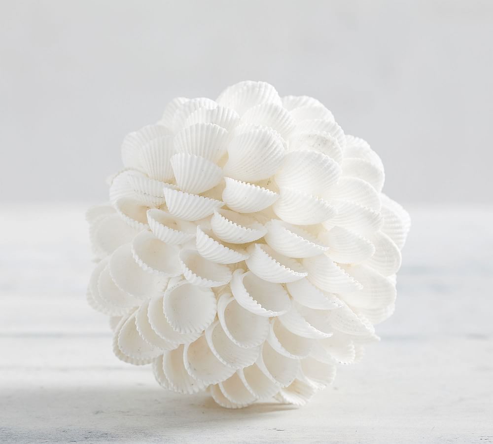 Shell Sphere Decorative Object | Pottery Barn