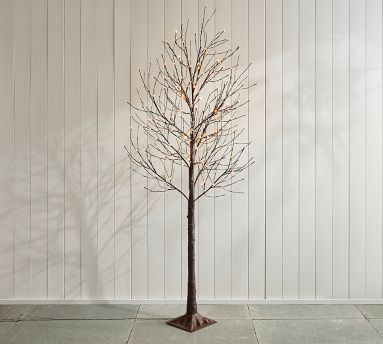 Lit Outdoor Willow Twinkling Twig Tree | Pottery Barn
