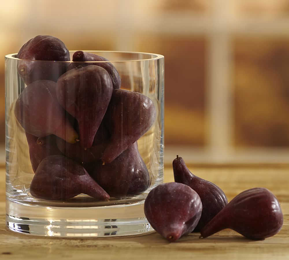 Fig Vase Filler | Pottery Barn