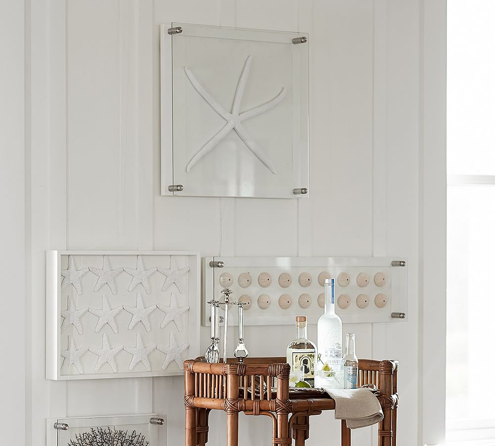 Sand Dollar Shadow Box | Pottery Barn