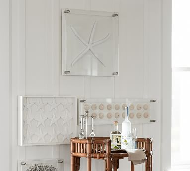Sand Dollar Shadow Box | Pottery Barn