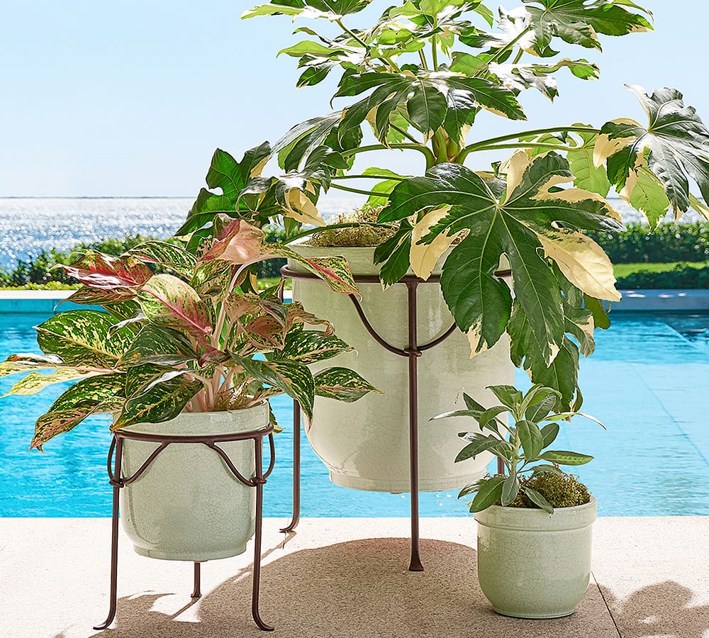 Outdoor Planters Pottery Barn