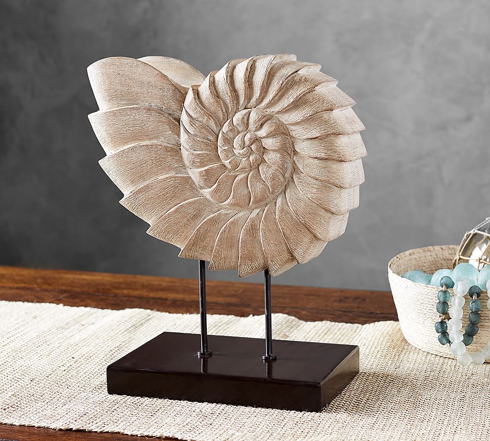 Shell on Museum Stand | Decorative Objects | Pottery Barn