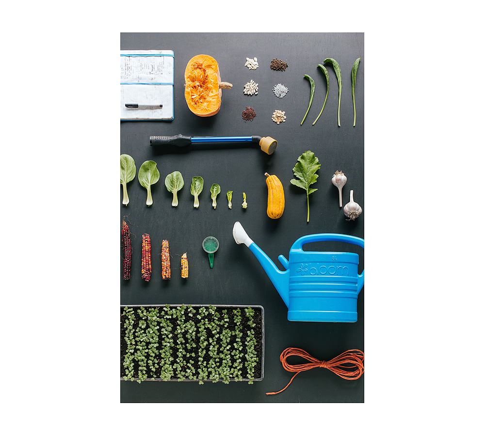 Farming Tools & Vegetables Art Print | Pottery Barn