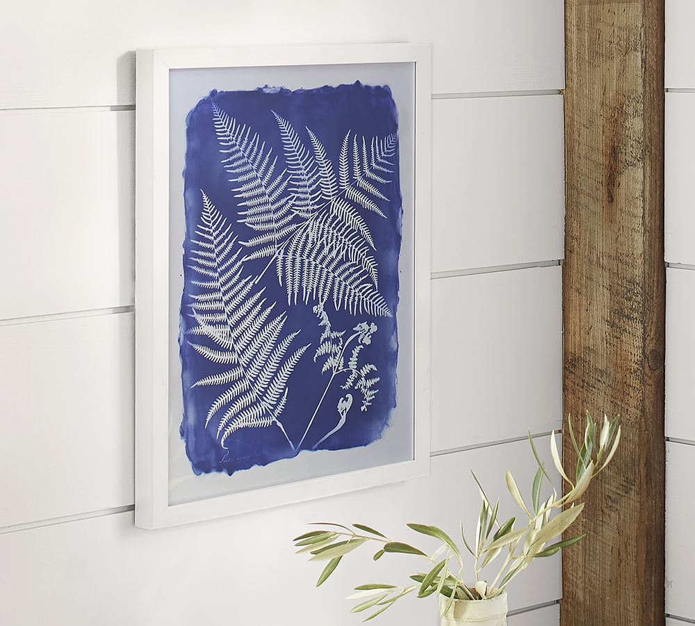 Cyanotype Framed Prints | Pottery Barn