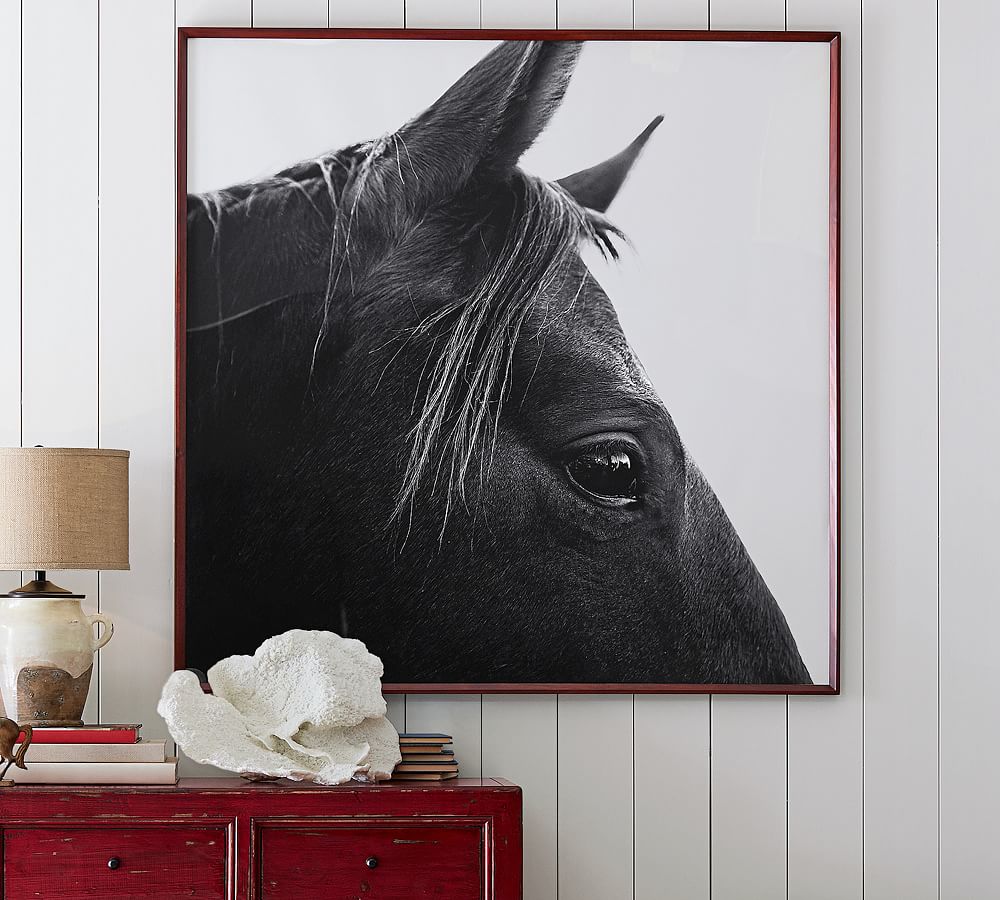 Dark Horse in Profile Framed Prints by Jennifer Meyers | Pottery Barn