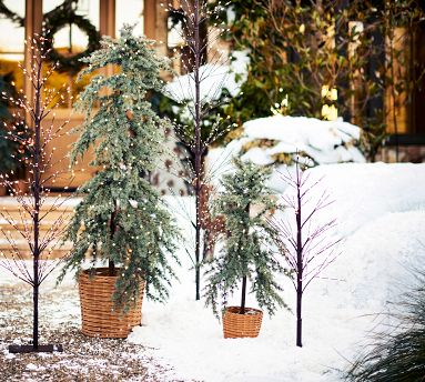 Lit Twinkling Twig Tree | Pottery Barn