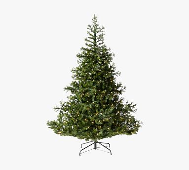 Lit Lakeshore Spruce Faux Christmas Tree | Pottery Barn