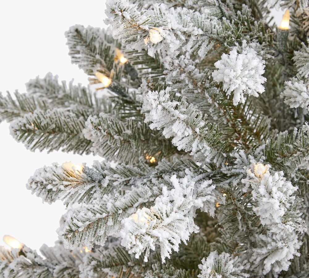 Pre-Lit Flocked West Virginia Spruce Faux Christmas Tree | Pottery Barn