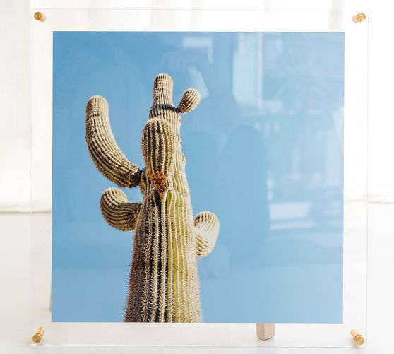 Acrylic Floating Double Panel Wall Frame | Pottery Barn