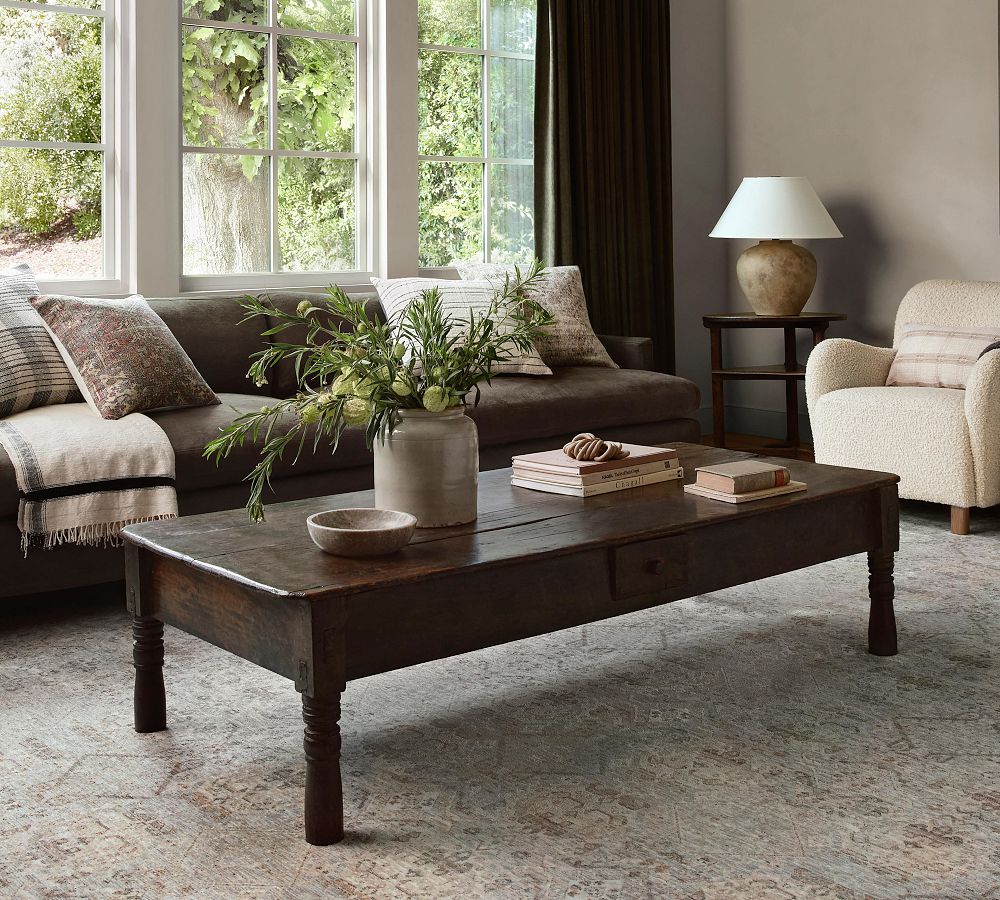 Amber Lewis X Loloi Zuma Rug | Pottery Barn