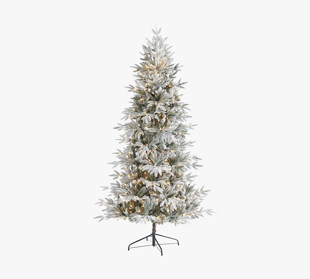 Faux Lit Flocked Manchester Spruce | Pottery Barn