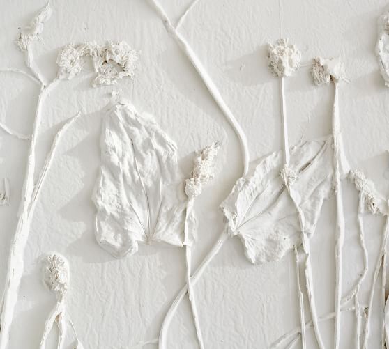 Pressed Botanical Wall Art | Pottery Barn