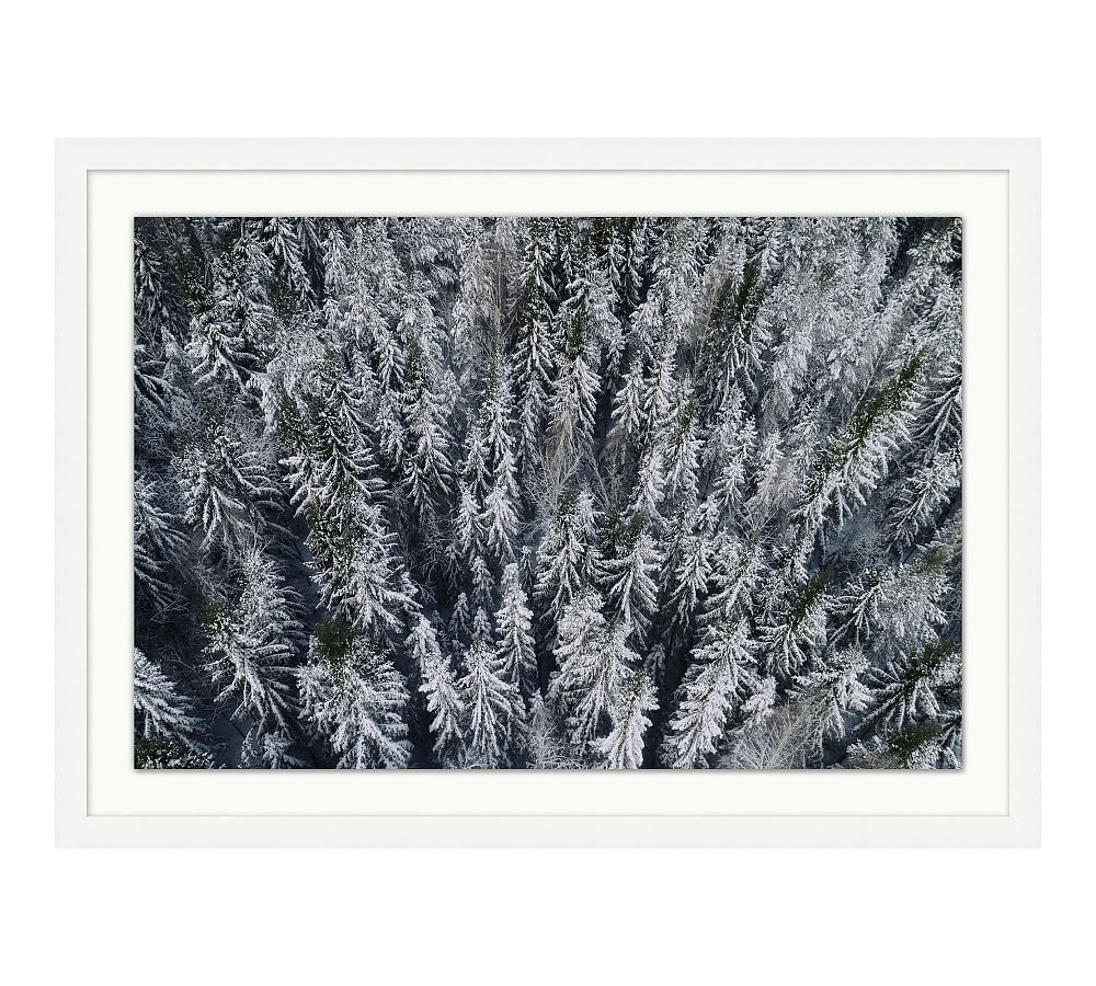 Snow Dusted Treetops Floating Frame Print | Pottery Barn