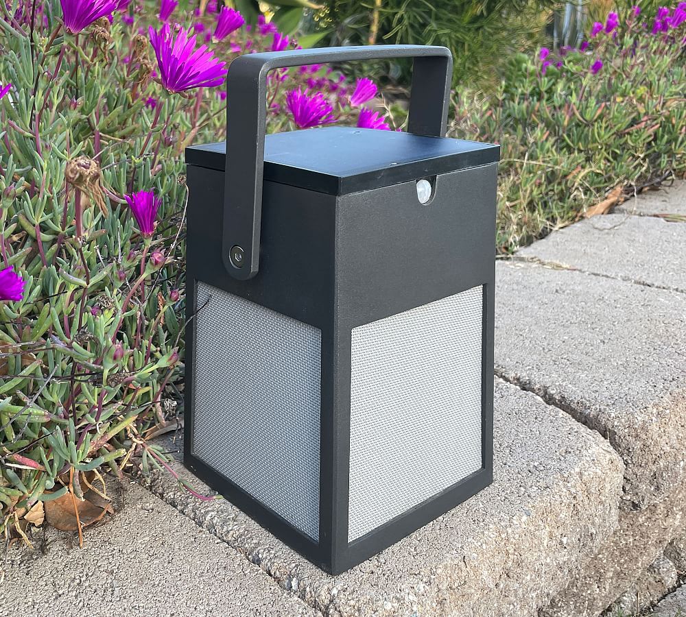 Leni Outdoor Solar Lantern | Pottery Barn