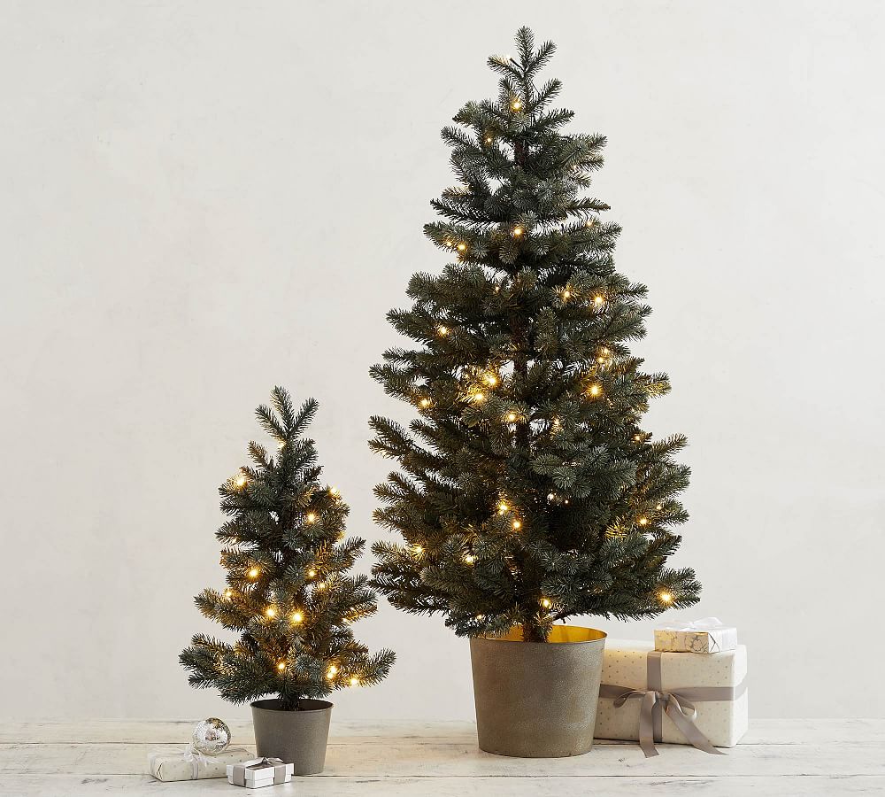 Lit Potted Faux Blue Spruce Trees | Pottery Barn