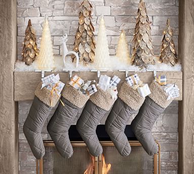 Lit Birch Trees | Pottery Barn