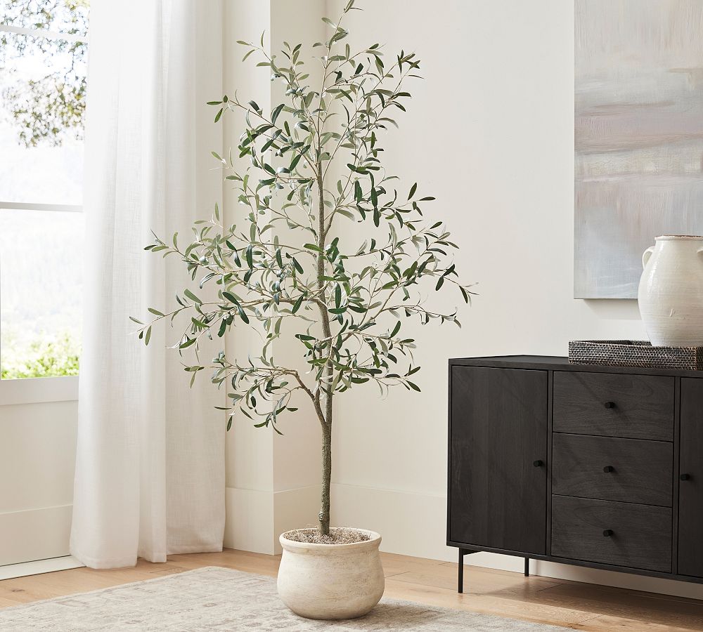 Faux Olive Trees | Pottery Barn