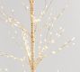 Lit Twinkling Twig Tree | Pottery Barn