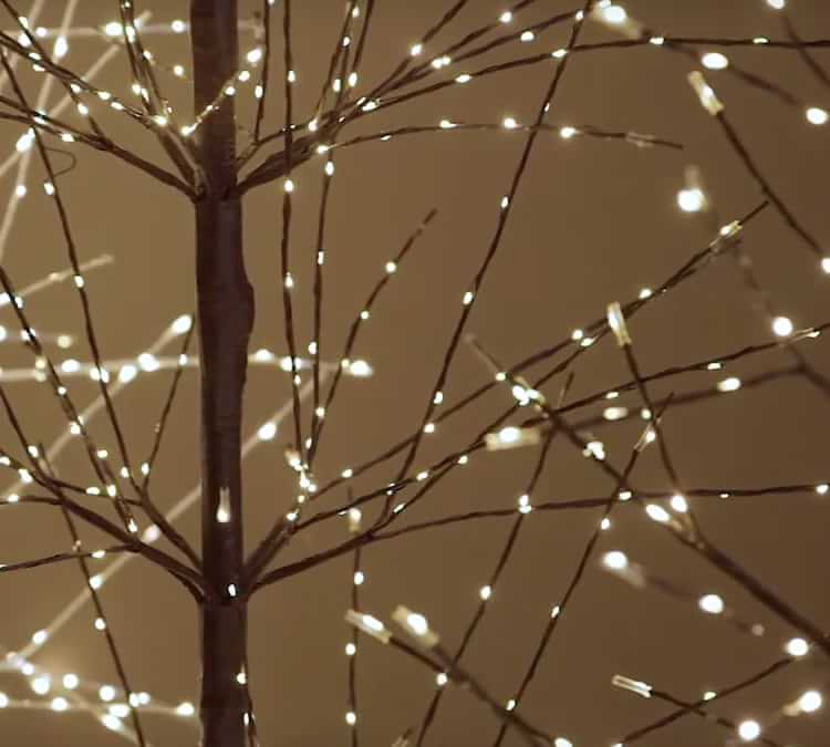 Lit Twinkling Twig Tree | Pottery Barn
