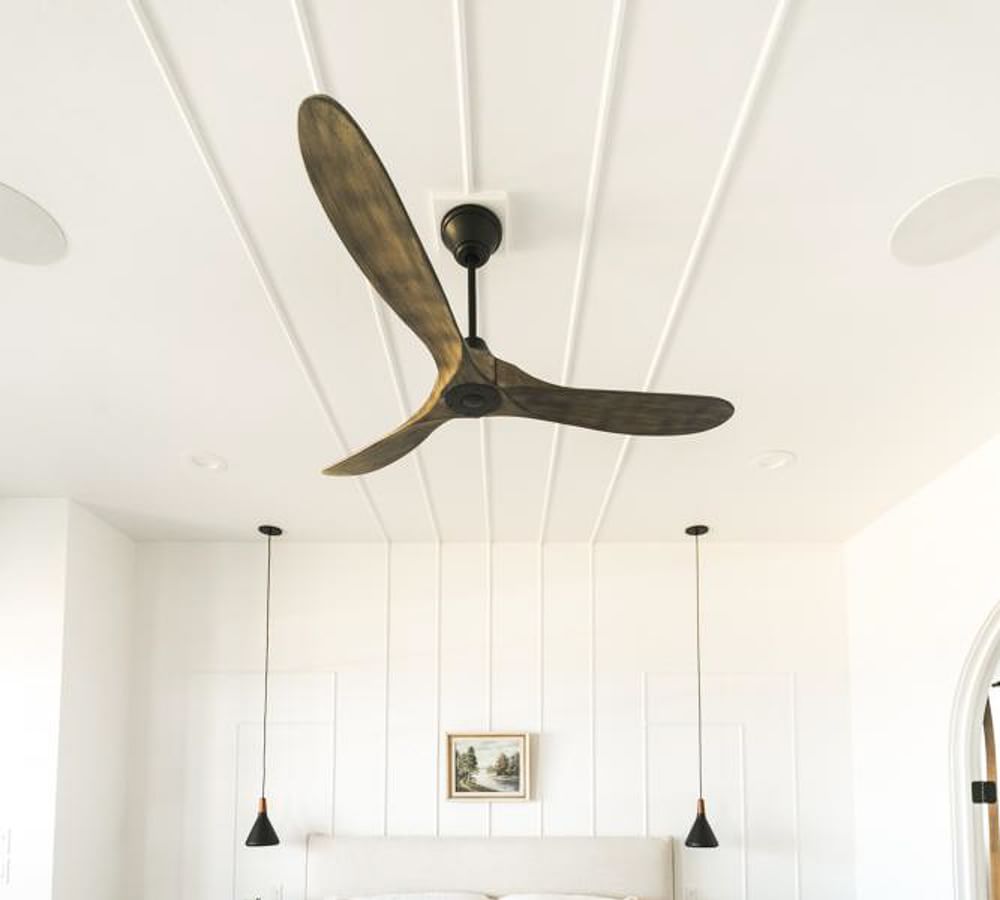 Rayanne Ceiling Fan | Pottery Barn