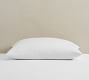 King Lounger Pillow Insert | Pottery Barn