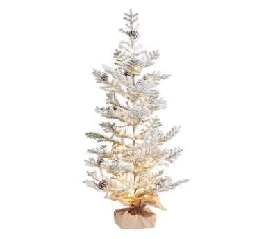 Lit Faux Snowy Pine Trees | Pottery Barn
